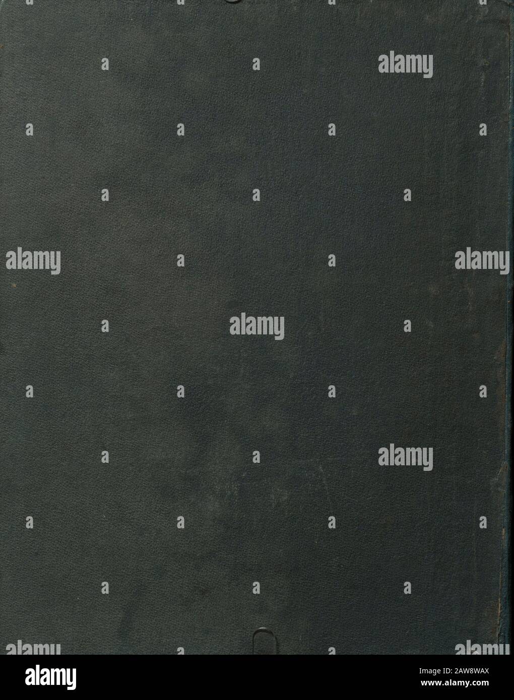 Goatskin binding on an ancient book cover printed in 1829 Stock Photo ...
