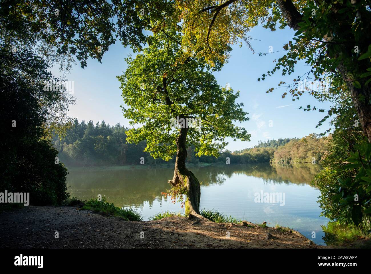 Autumn colours are starting to show at Shearwater lake, Warminster ...