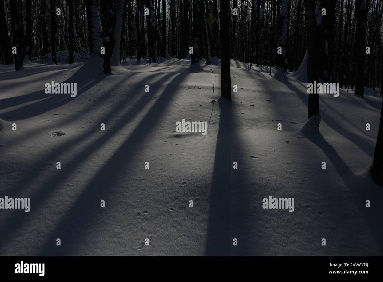 Perfect snow hi-res stock photography and images - Alamy