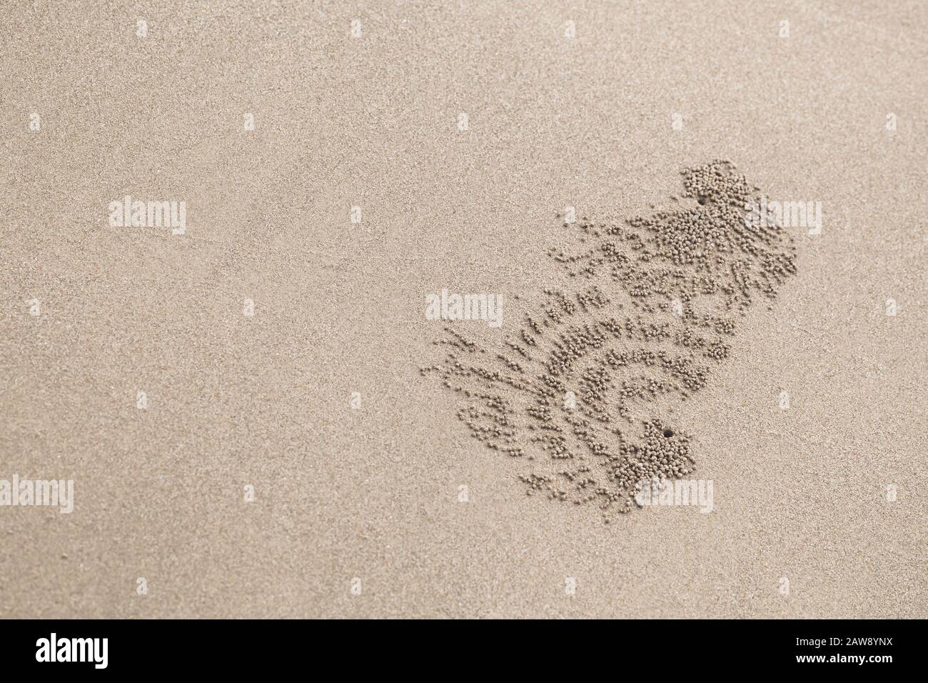 Abstract pattern of small balls on coastal sand made by sand bubbler ...