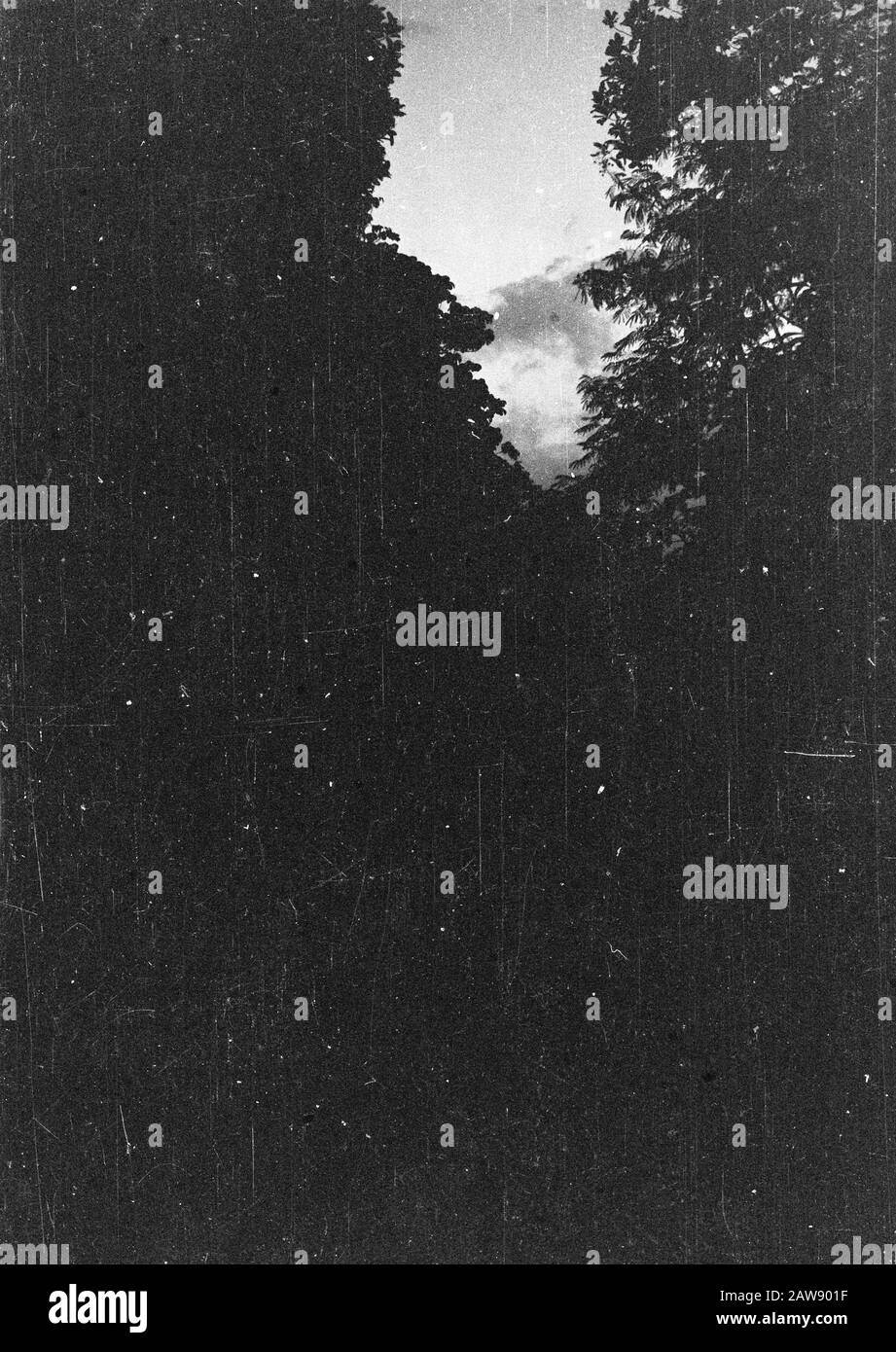 Unclear image hi-res stock photography and images - Alamy