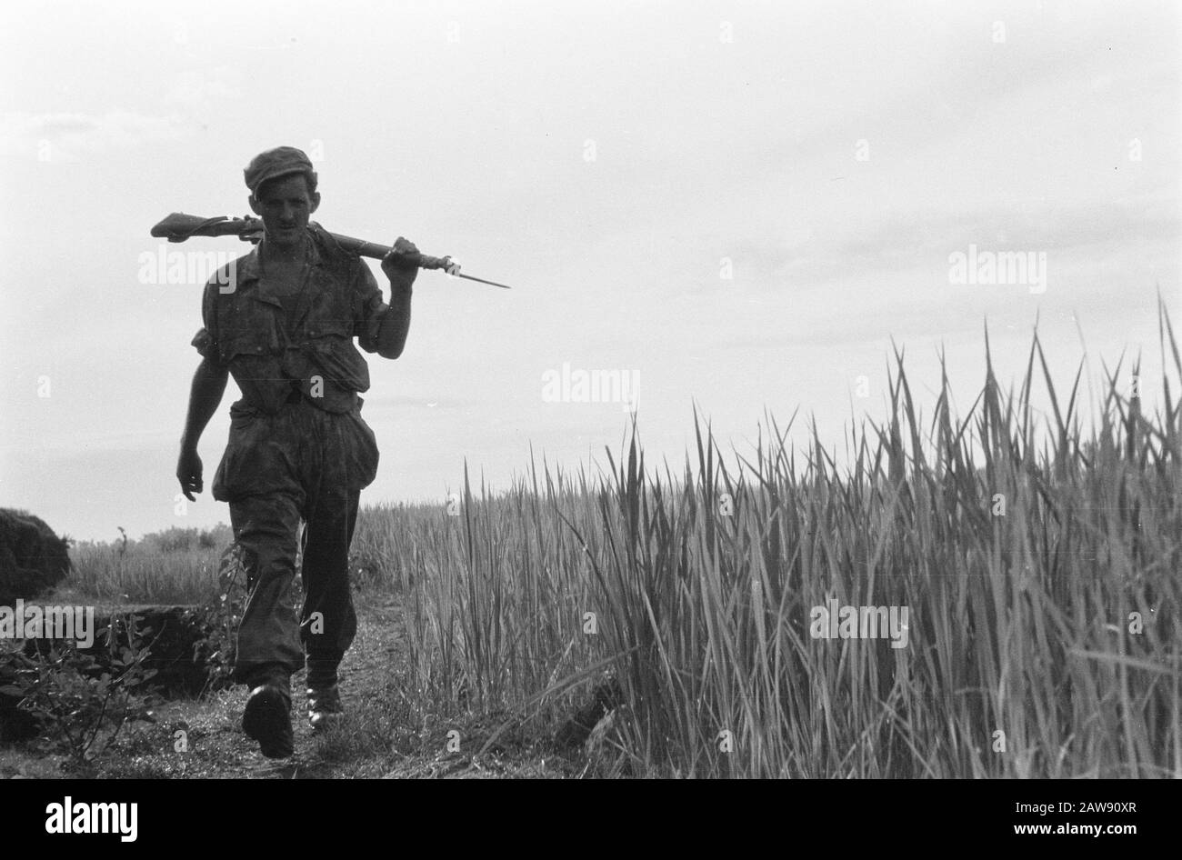 Battalion walking hi-res stock photography and images - Alamy