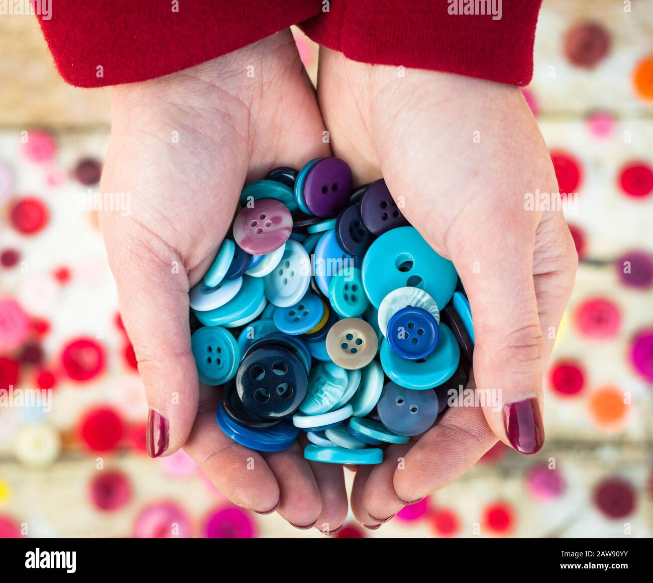 Woman's hands holding handful of colourful blue sewing buttons Stock ...