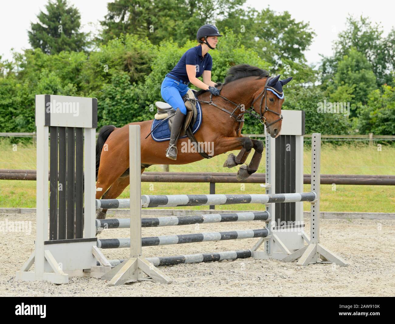 Ponies jumping fence hi-res stock photography and images - Alamy