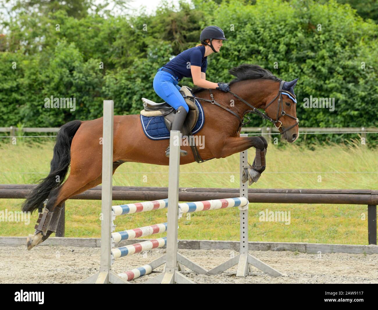 Ponies Jumping Fence High Resolution Stock Photography and Images - Alamy