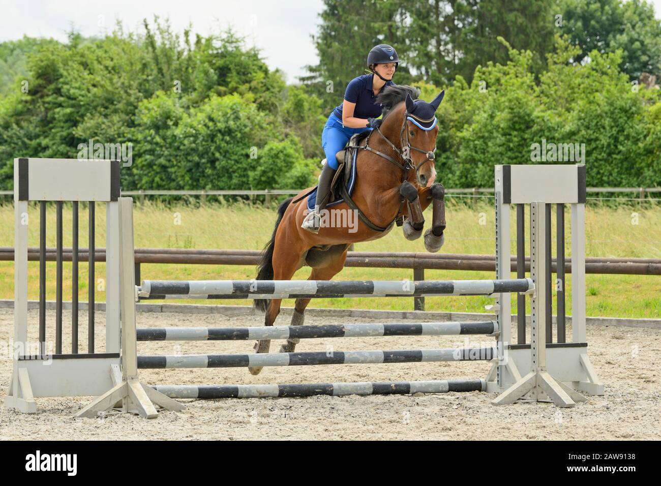 Ponies Jumping Fence High Resolution Stock Photography and Images - Alamy