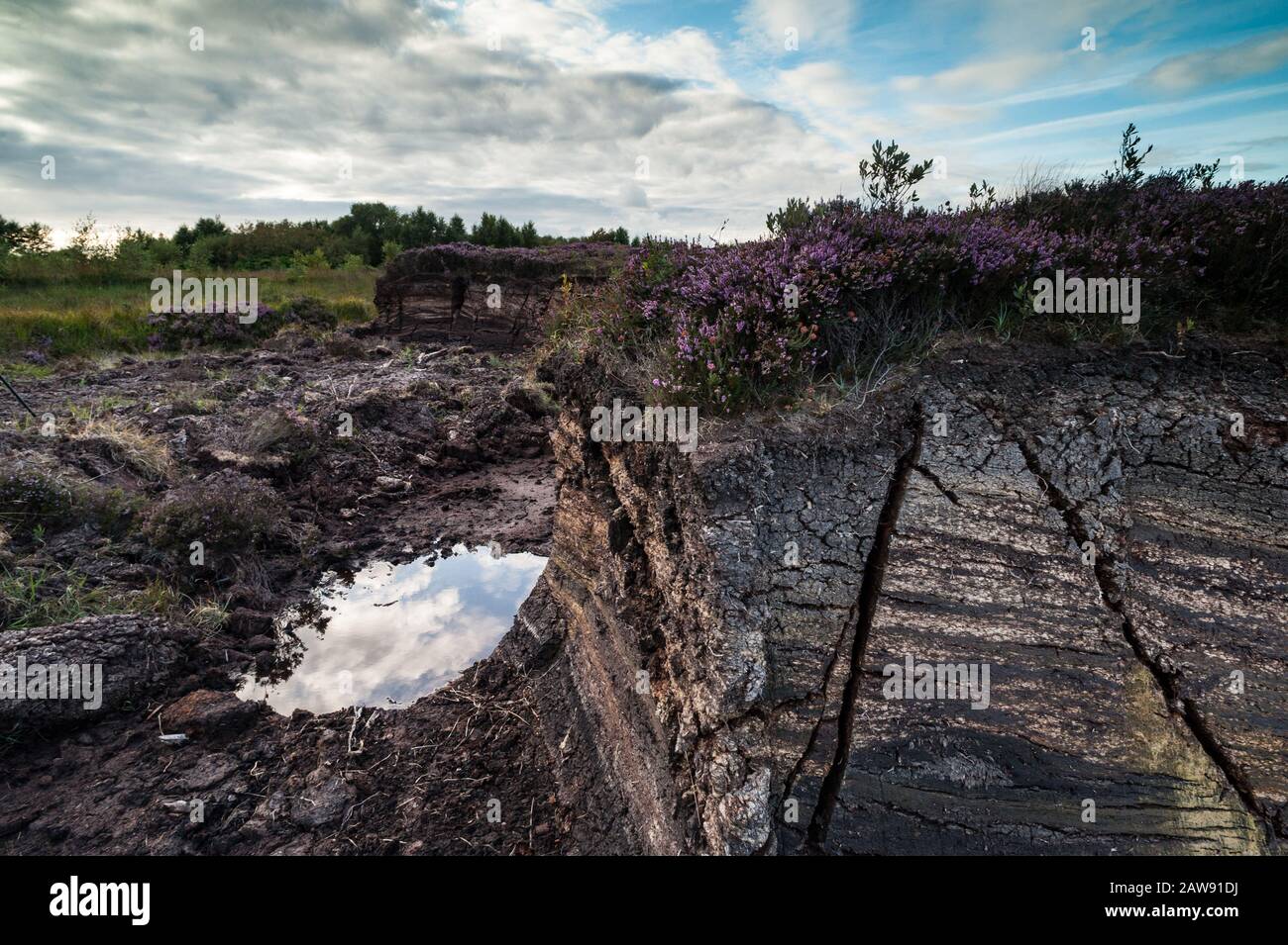 Irish Peat Bog landscape during summer time Stock Photo - Alamy
