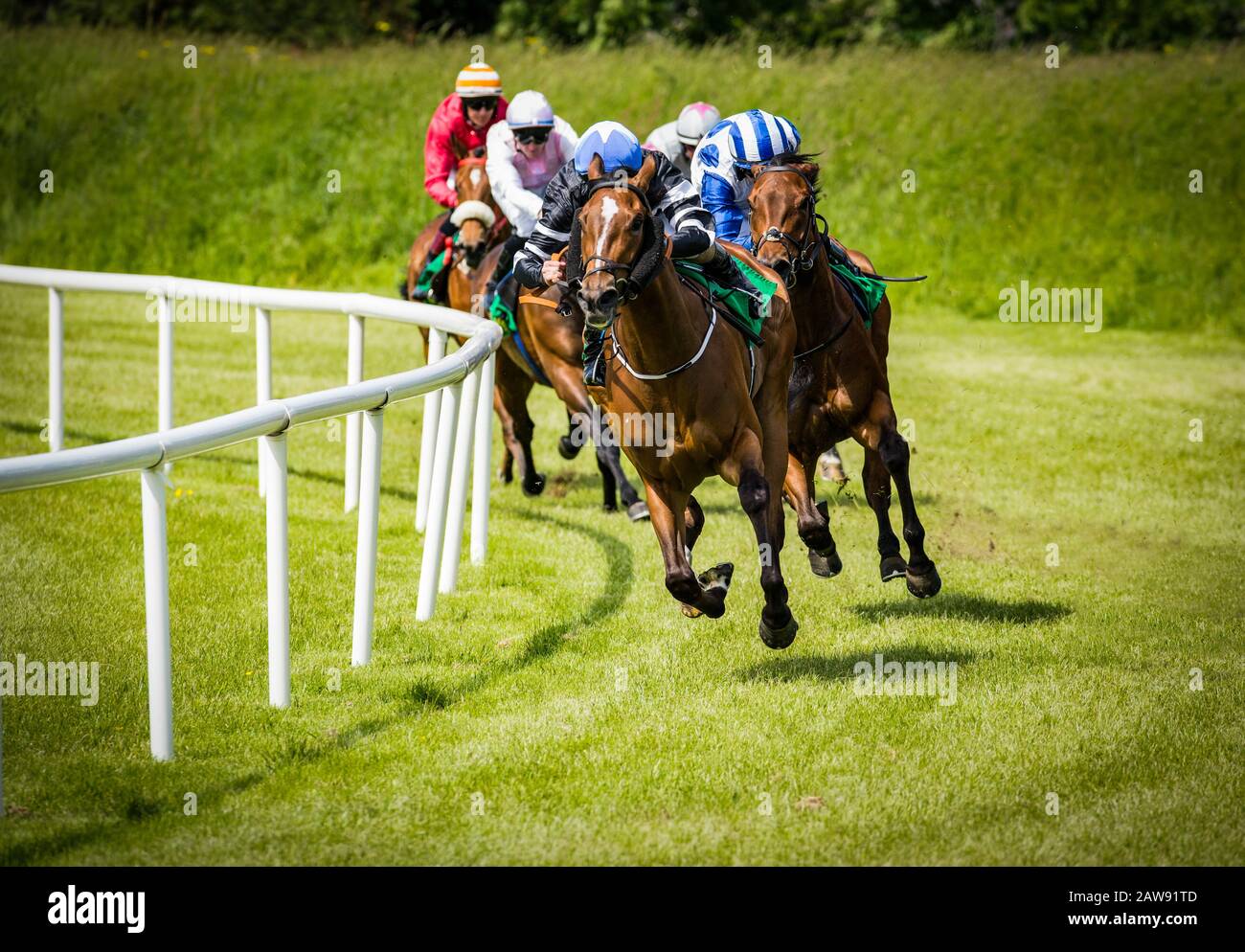 Sport racing action running horse jockey whip hi-res stock photography ...