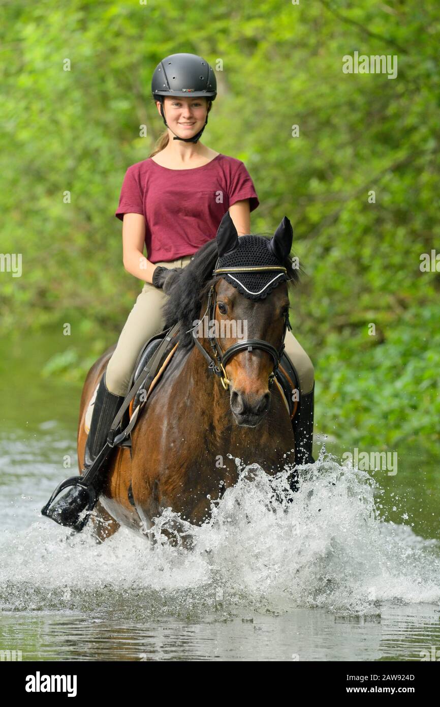 Girl on back of a German pony trotting in a stream Stock Photo - Alamy