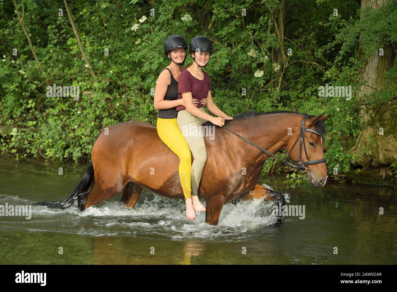 Two girls on ponies riding hi-res stock photography and images - Alamy