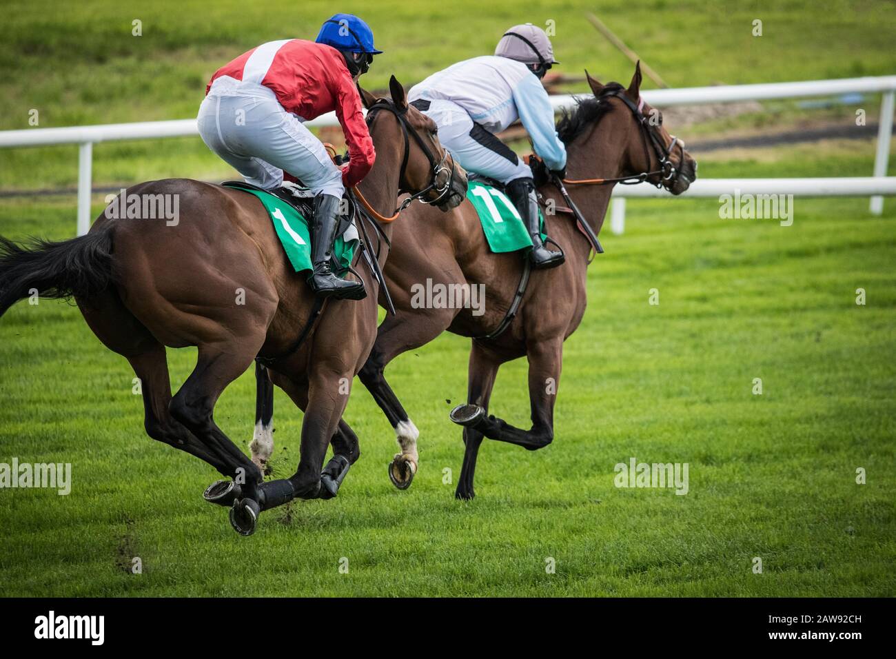 Two race horses and jockeys competing on the race track Stock Photo - Alamy