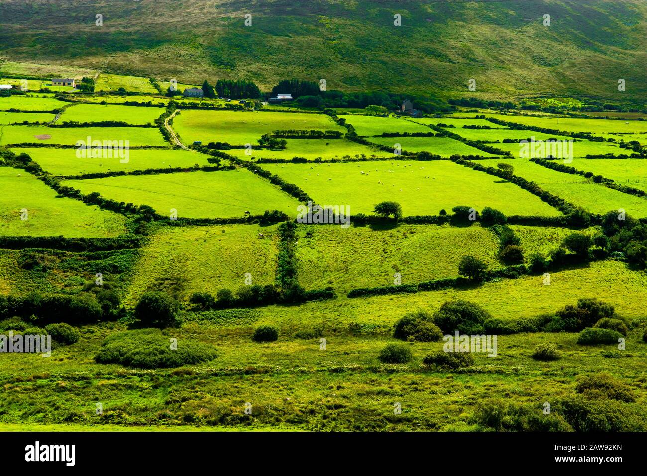 Rural Landscape With Pastures In Ireland Stock Photo - Alamy