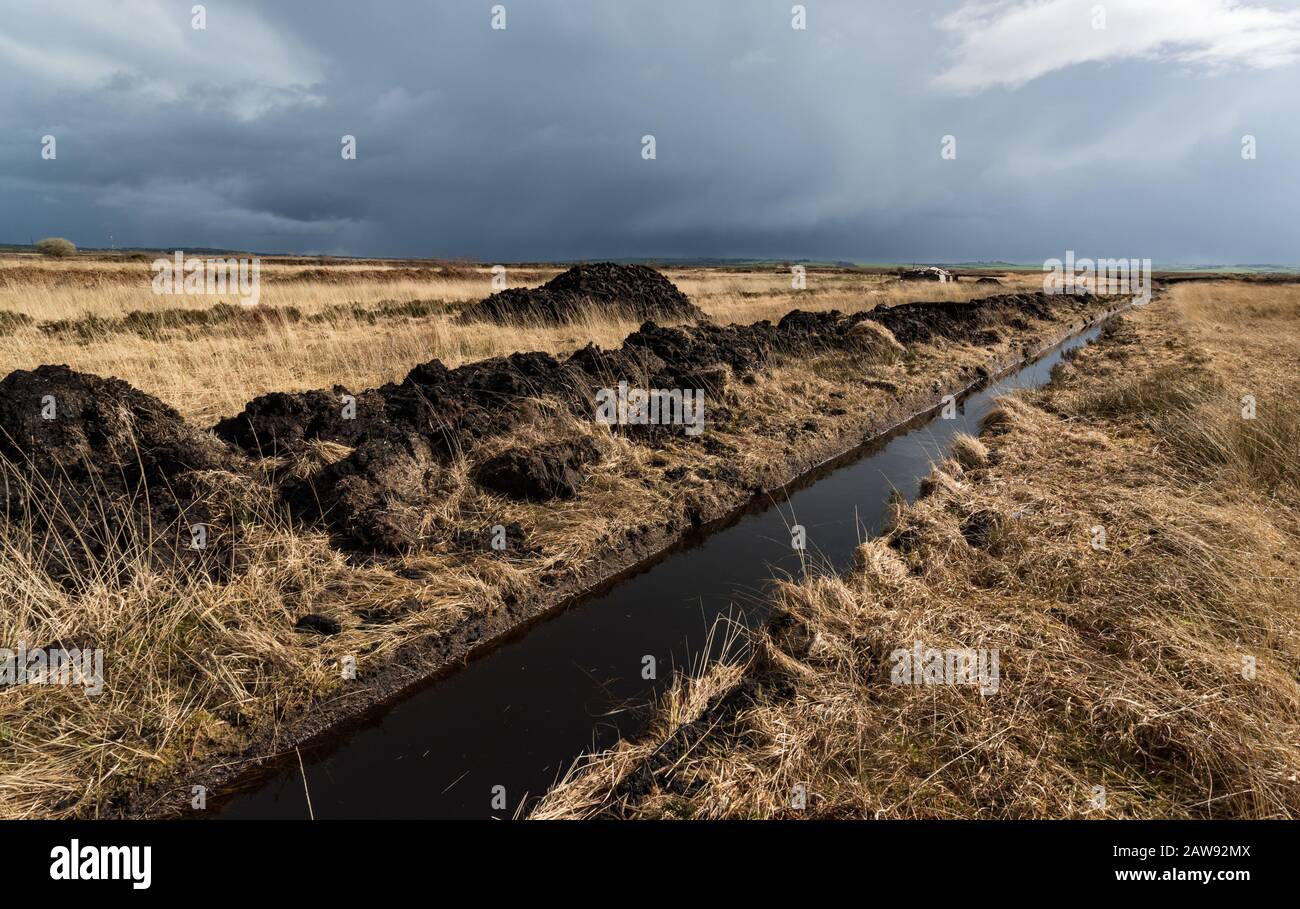Bog Bricks High Resolution Stock Photography and Images - Alamy
