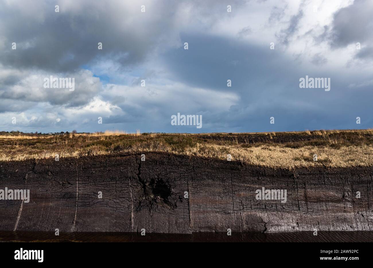Cross section of cultivated peat bog earth crust landscape in rural ...