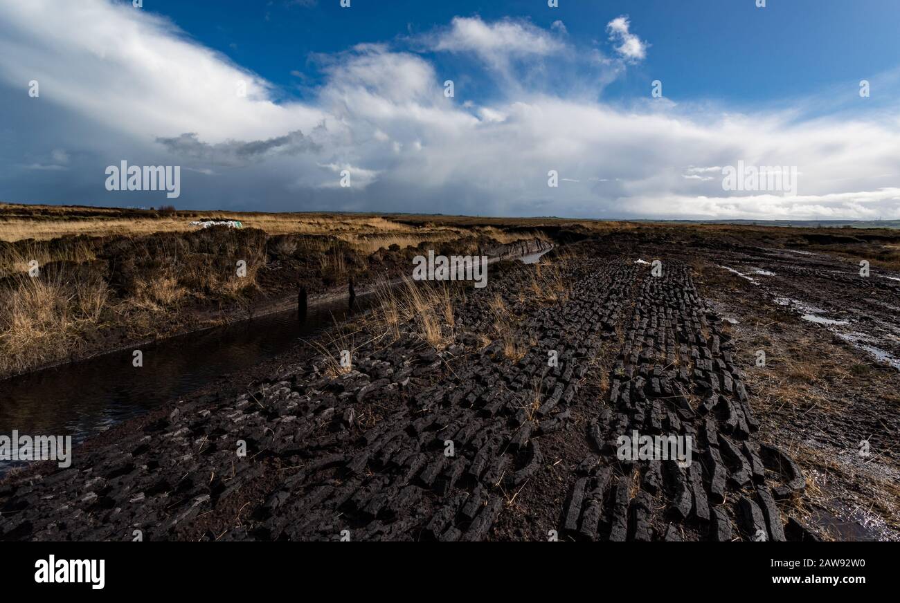 Irish peat bog landscape in rural Ireland Stock Photo - Alamy