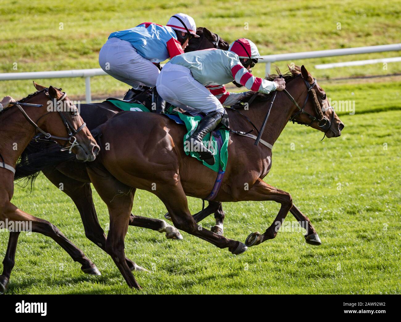 Intence hi-res stock photography and images - Alamy