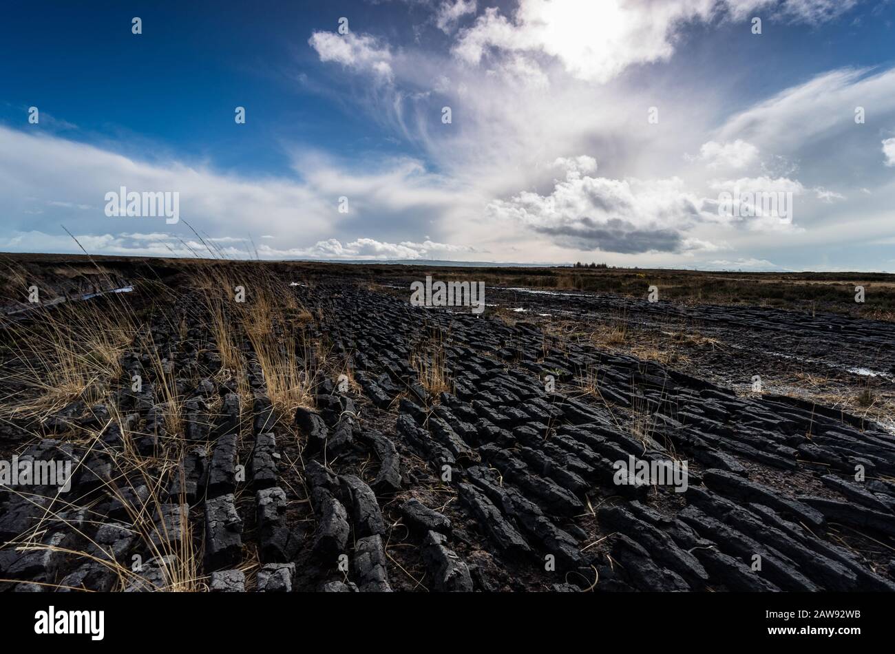 Irish peat bog landscape in rural Ireland Stock Photo - Alamy