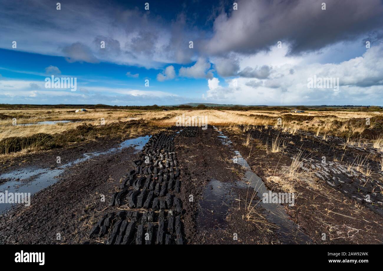 Irish peat bog landscape in rural Ireland Stock Photo - Alamy