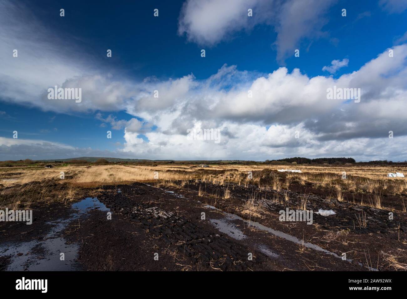 Irish peat bog landscape in rural Ireland Stock Photo - Alamy