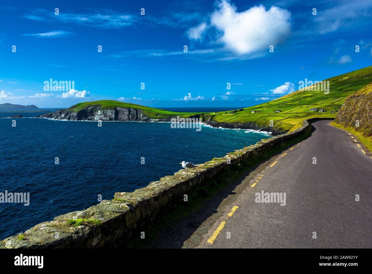 Single Track Coast Road at Slea Head in Ireland Stock Photo - Alamy