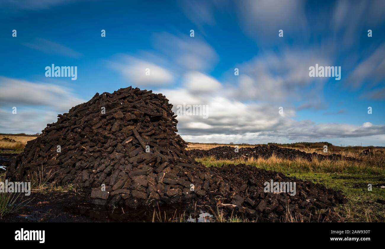 Cultivated peat bog bricks stacked for drying in rural Irish landscape ...
