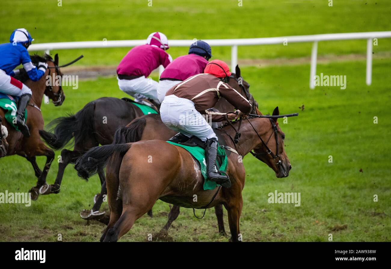intense horse racing competition Stock Photo - Alamy