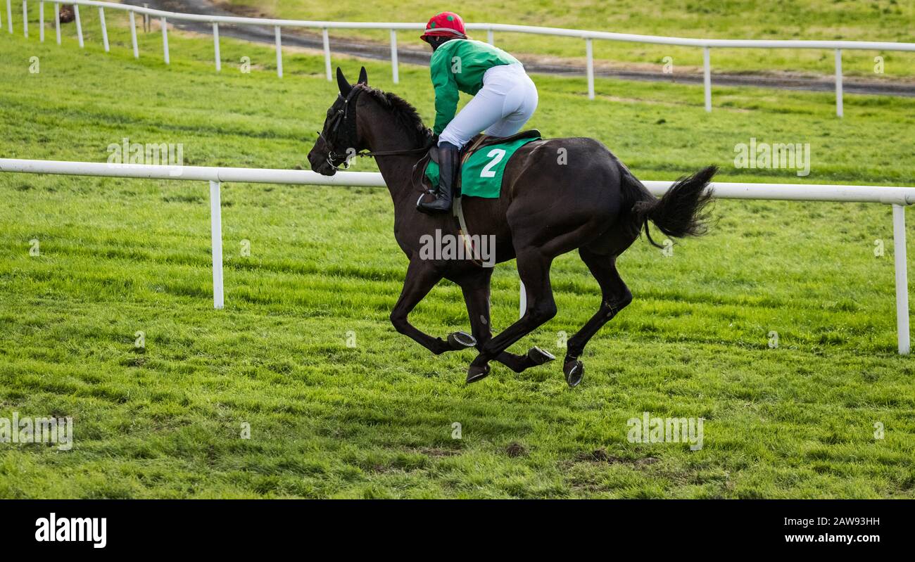 Single race horse galloping down the race track Stock Photo - Alamy