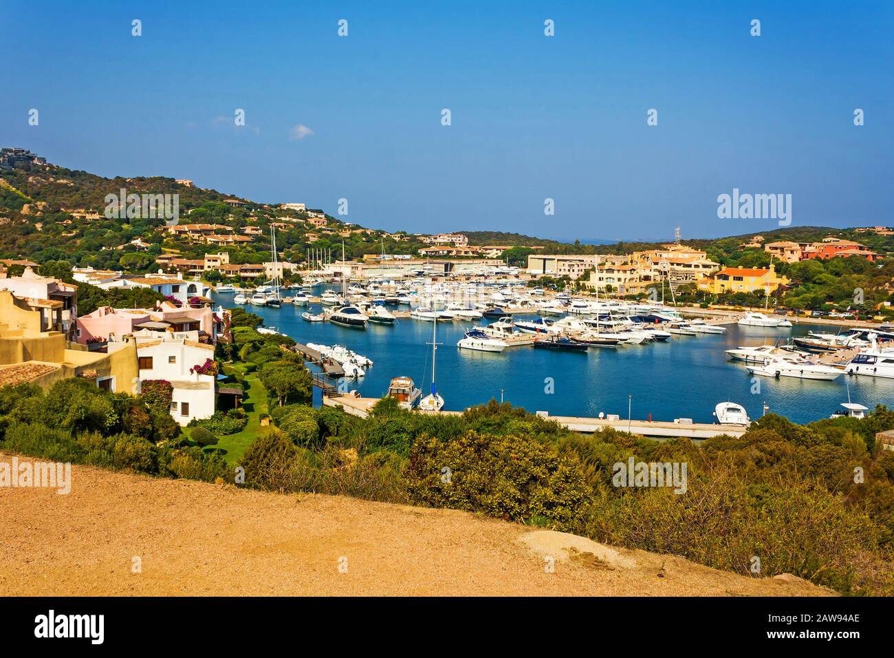 Cervo in estate hi-res stock photography and images - Alamy