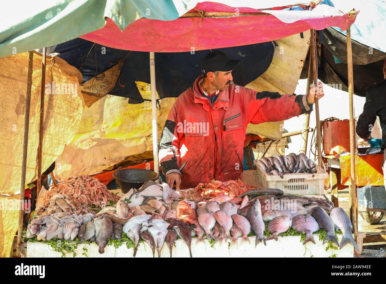 Essaouira, Morocco Fish Vendor Stock Photo - Alamy
