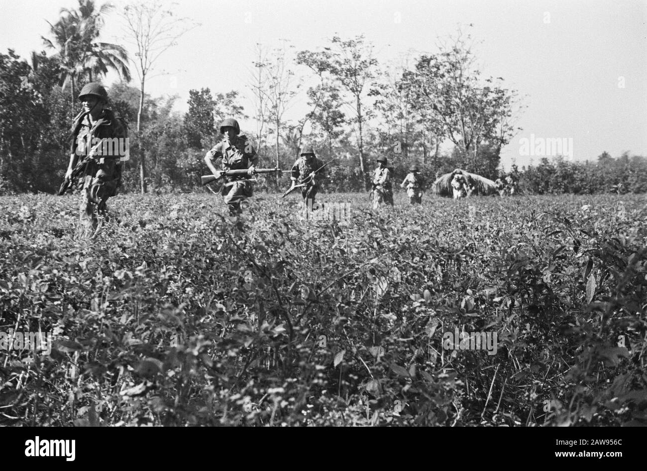 Patrol Gang. Dutch soldiers in single file through a blooming field ...