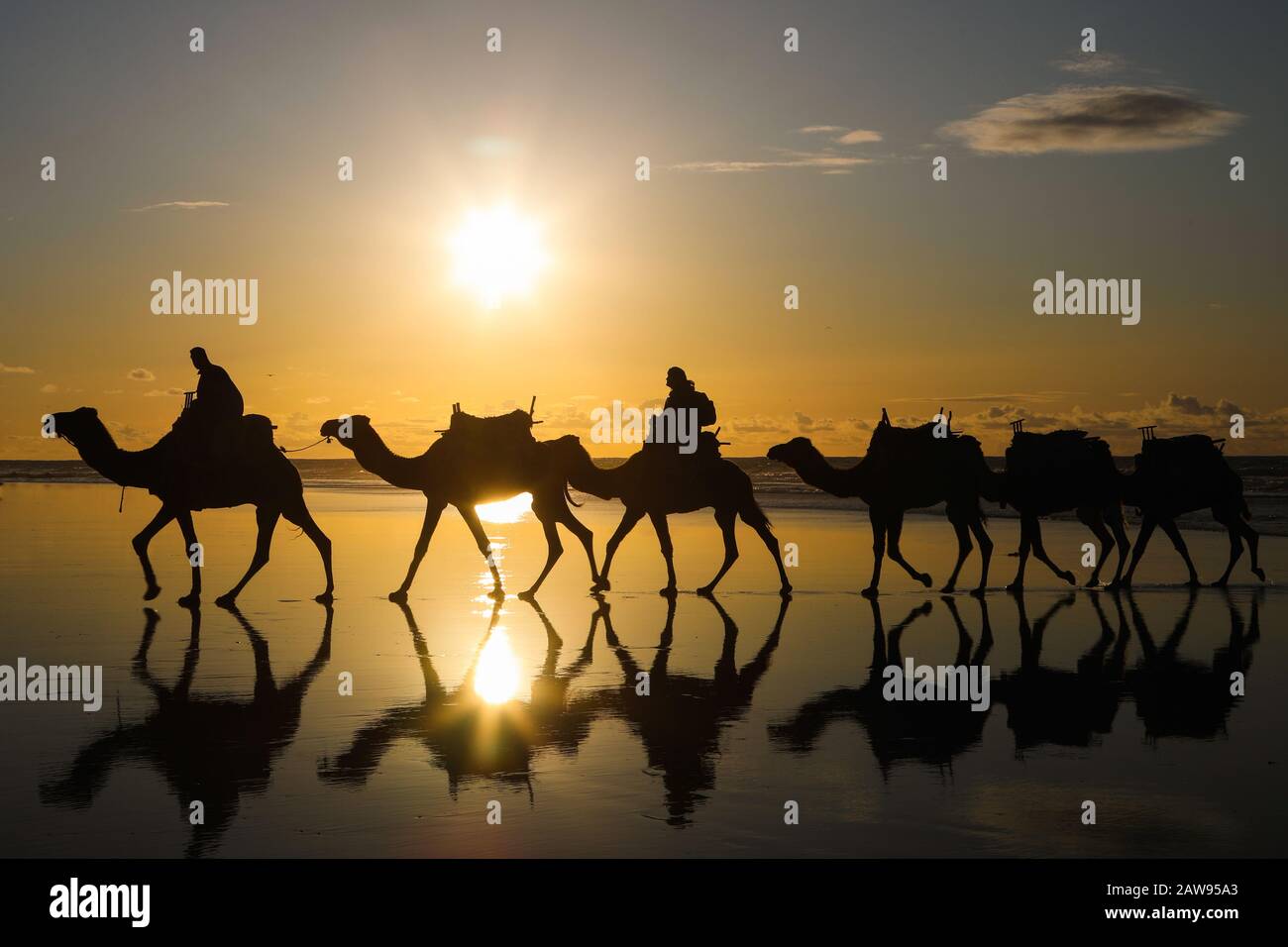 Camel train silhouette sunset desert hi-res stock photography and ...