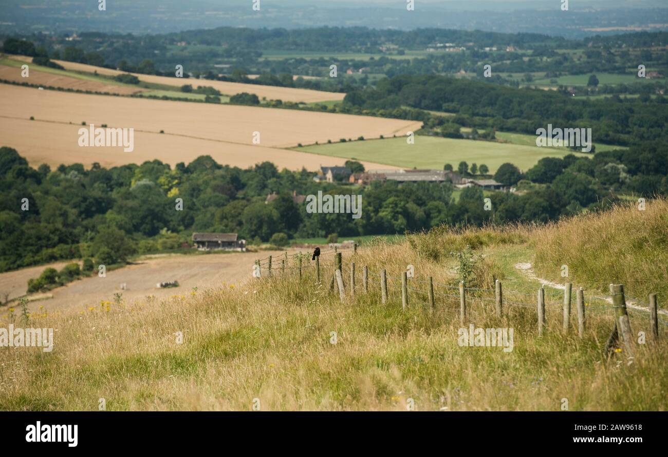 Cherhill downs hi-res stock photography and images - Alamy