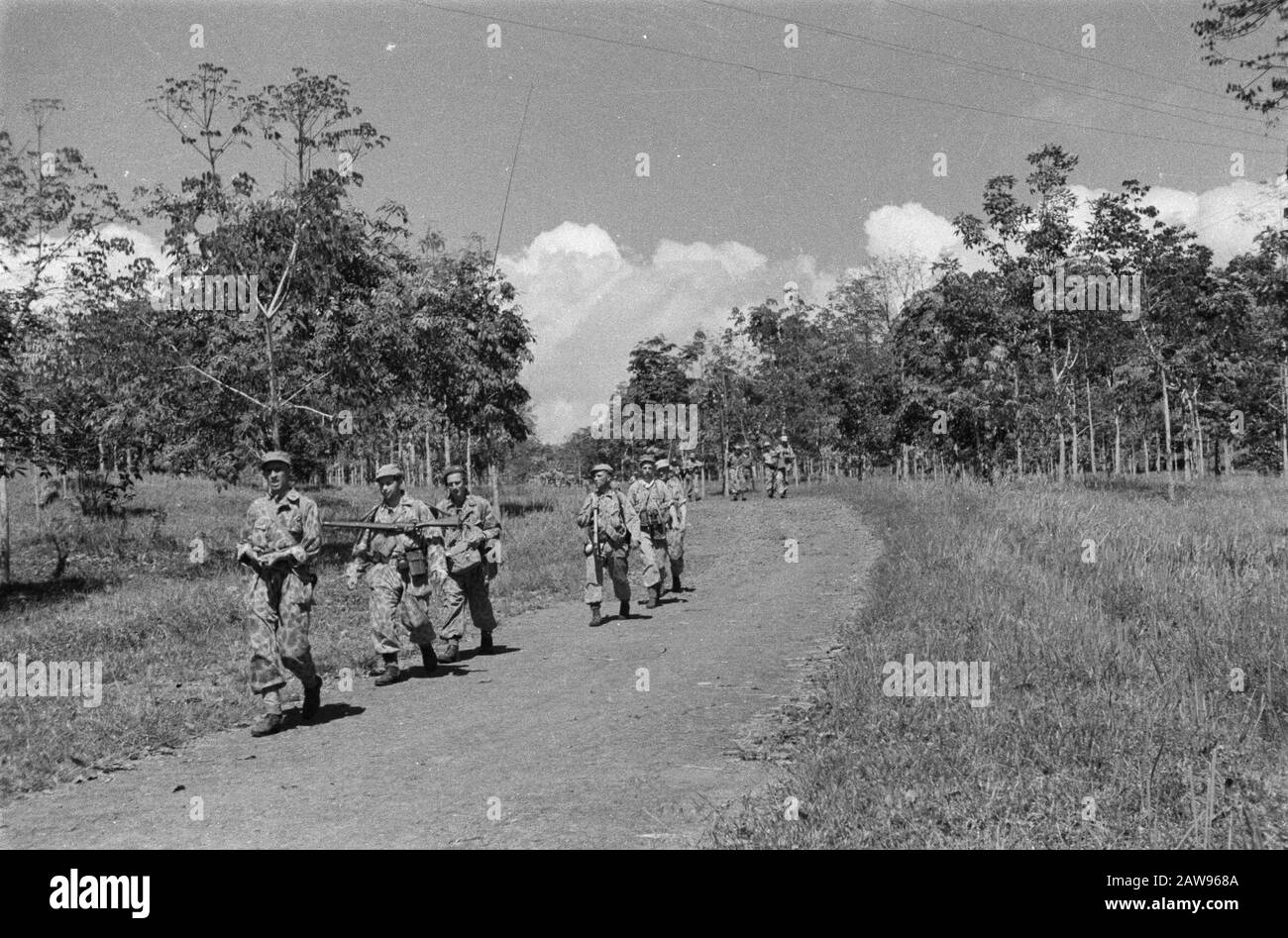 Dutch infantry in camouflage uniform advancing through a country road ...
