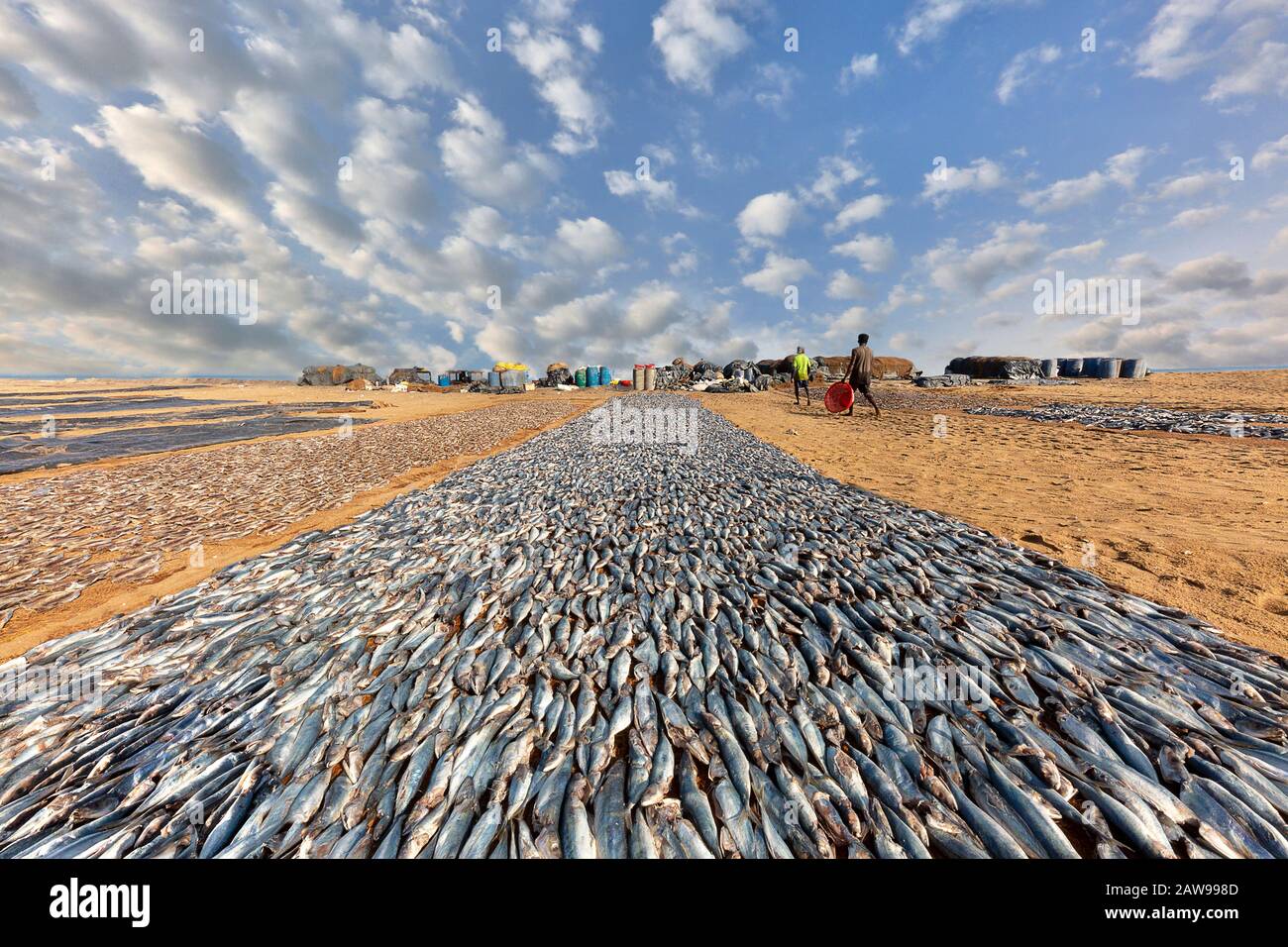 Food drying hi-res stock photography and images - Alamy