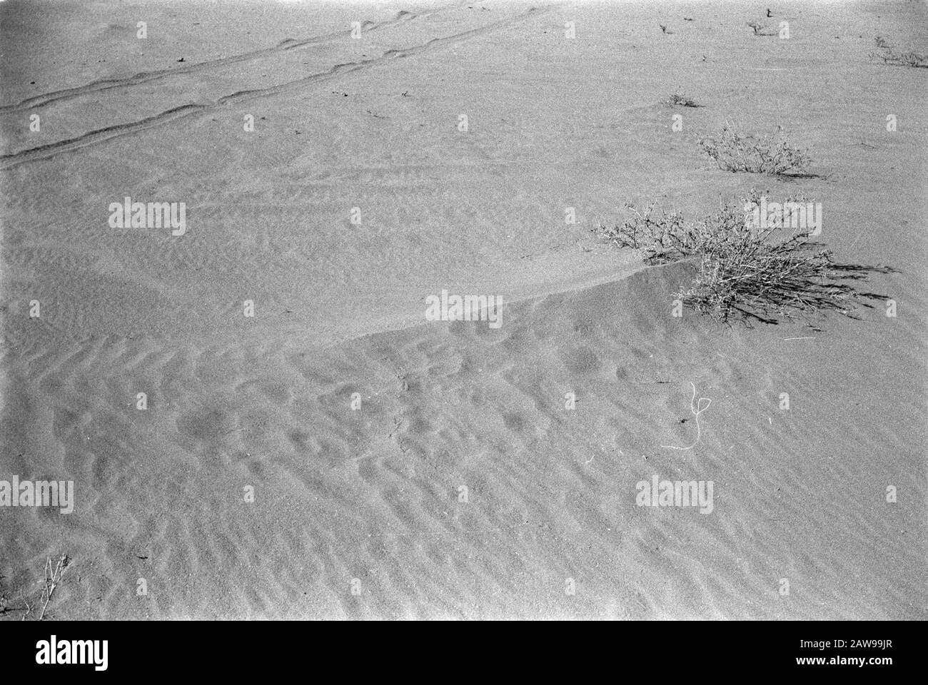 Geographical landscapes Black and White Stock Photos & Images - Alamy