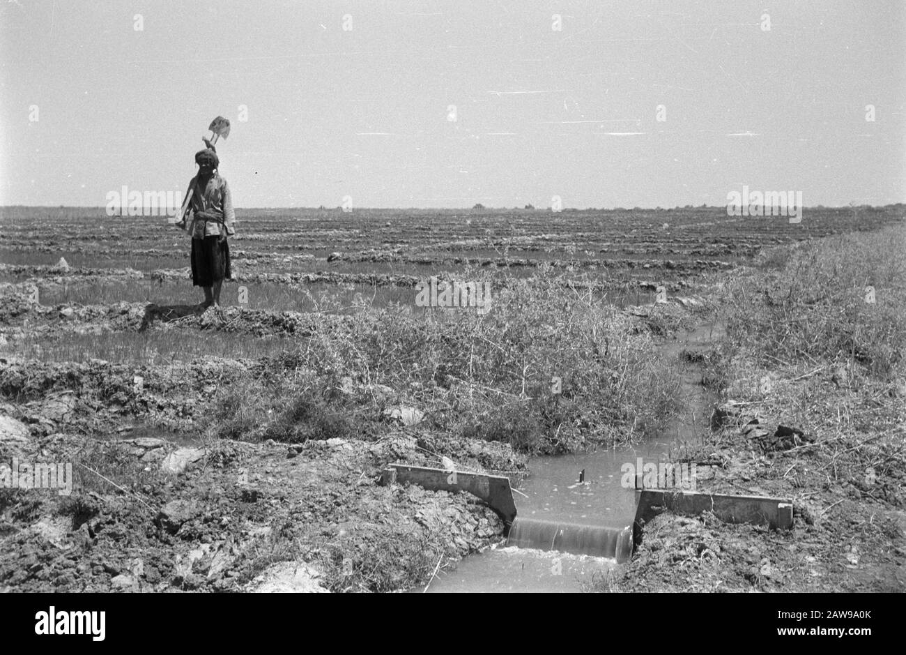 land, men, create Date: undated Keywords: land, men, creating Stock ...