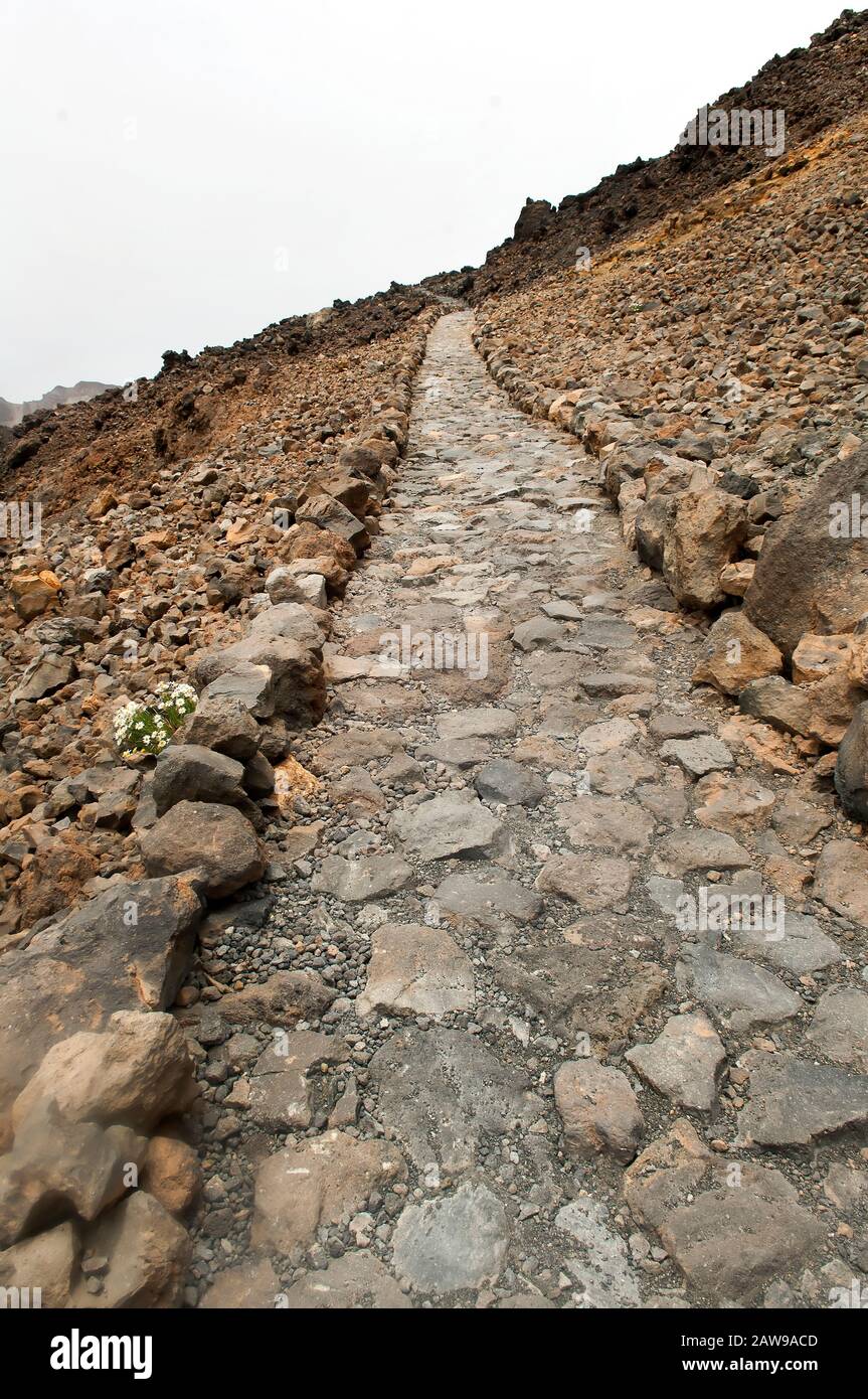 The path on the top of Mount Teide, Tenerife, Canary Islands, where ...