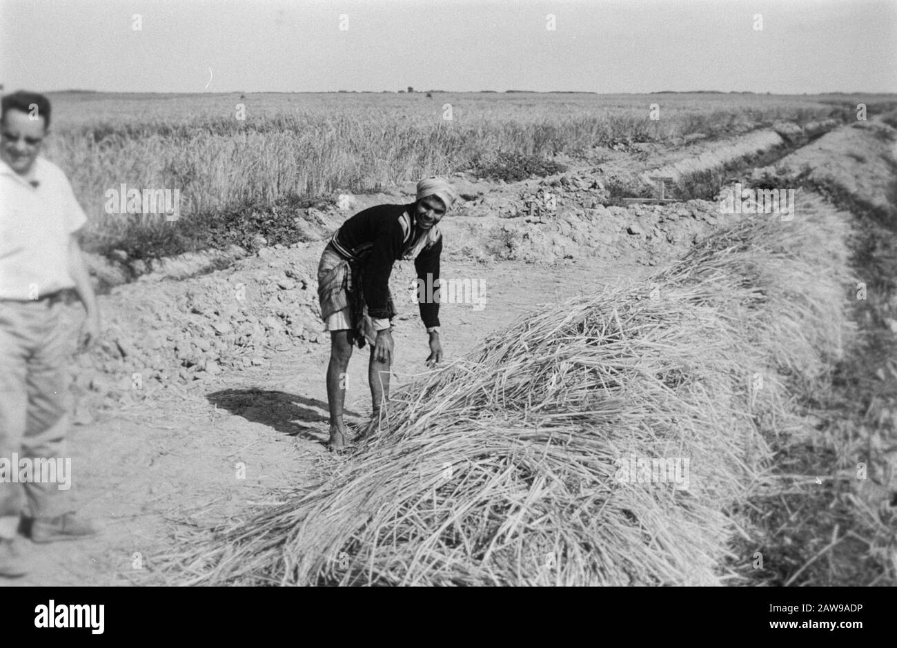 Men working physical labor hi-res stock photography and images - Alamy