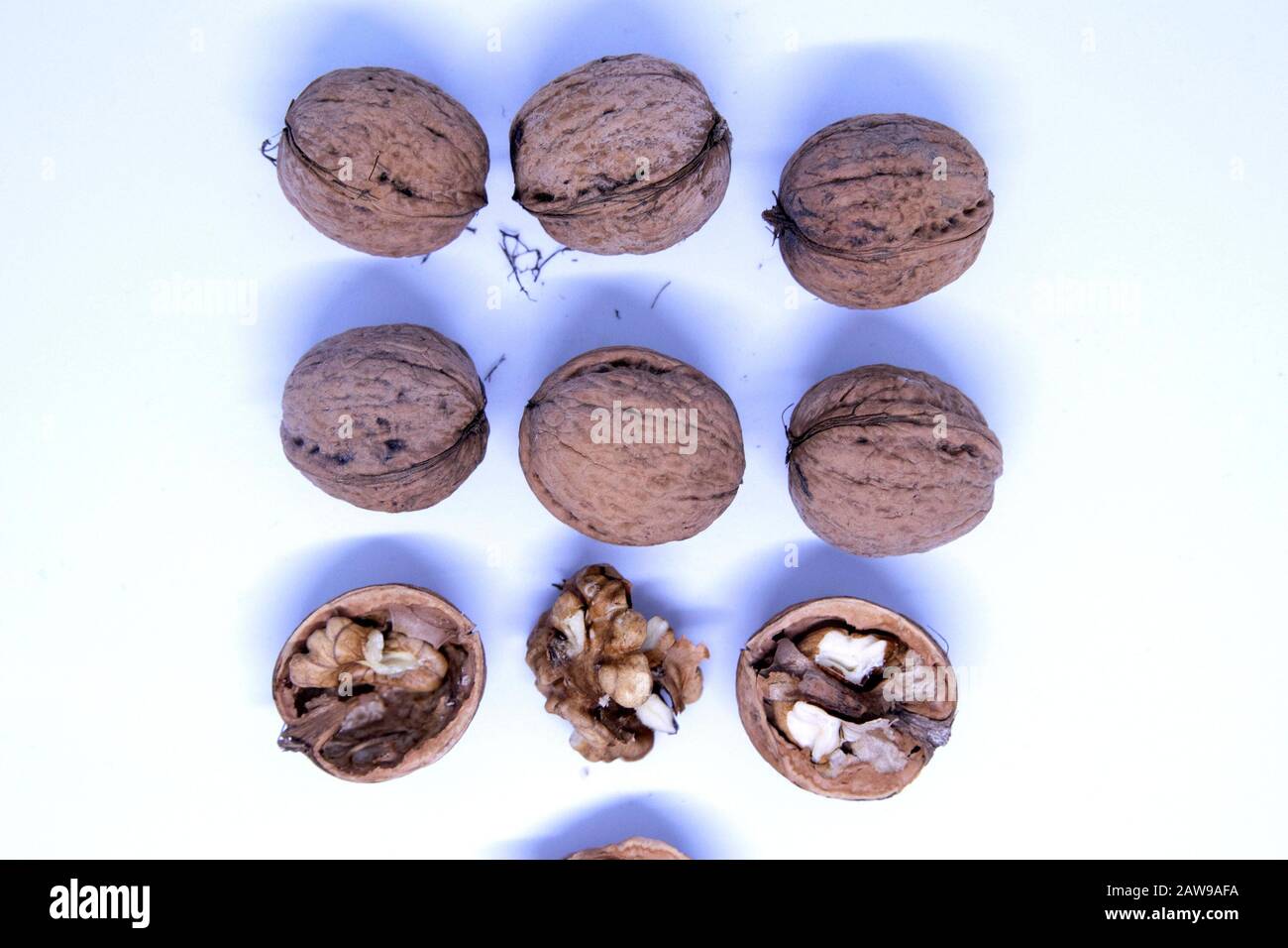 Nuts. Walnuts on a white background Stock Photo - Alamy