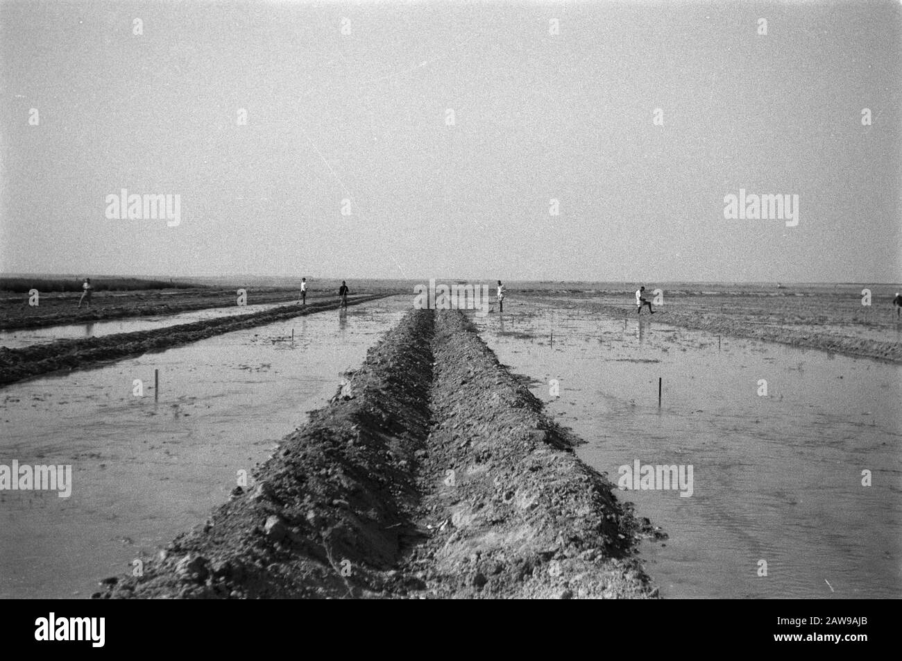 men, trenches, water Date: undated Keywords: men, trenches, water Stock ...