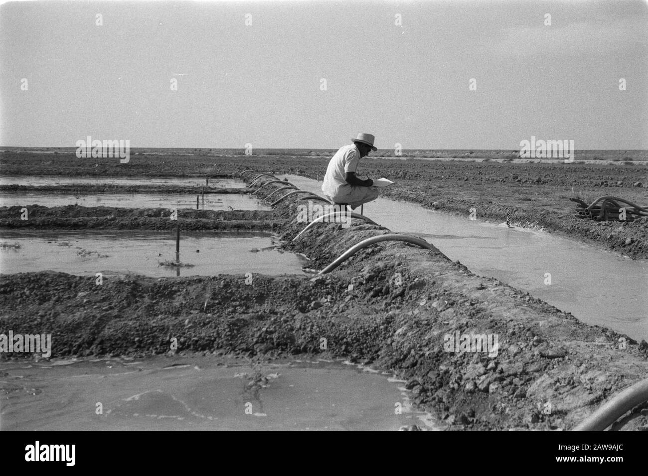 land, water, trenches, drainage, men Date: undated Keywords: land, men ...