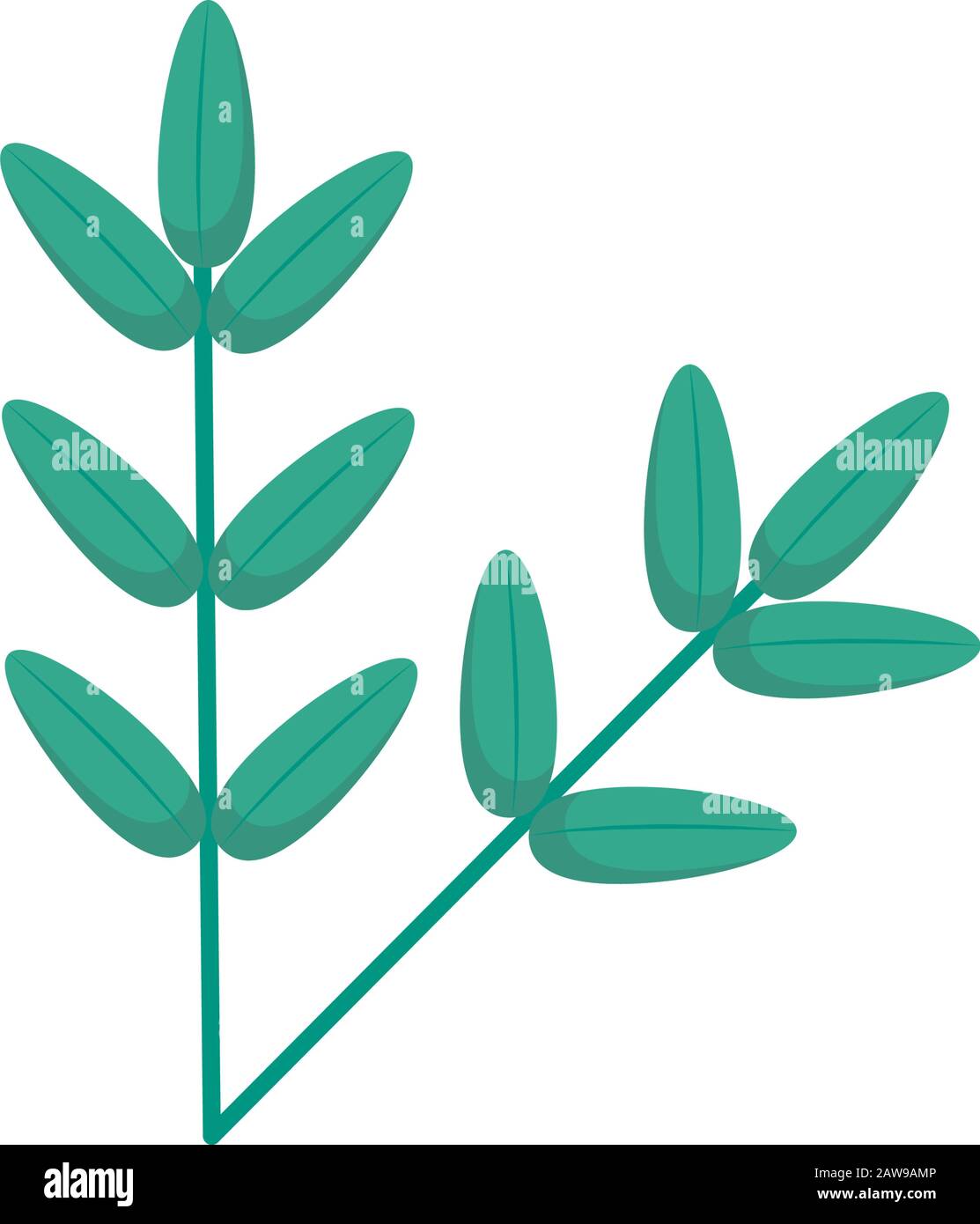 Isolated natural leaves vector design Stock Vector Image & Art - Alamy