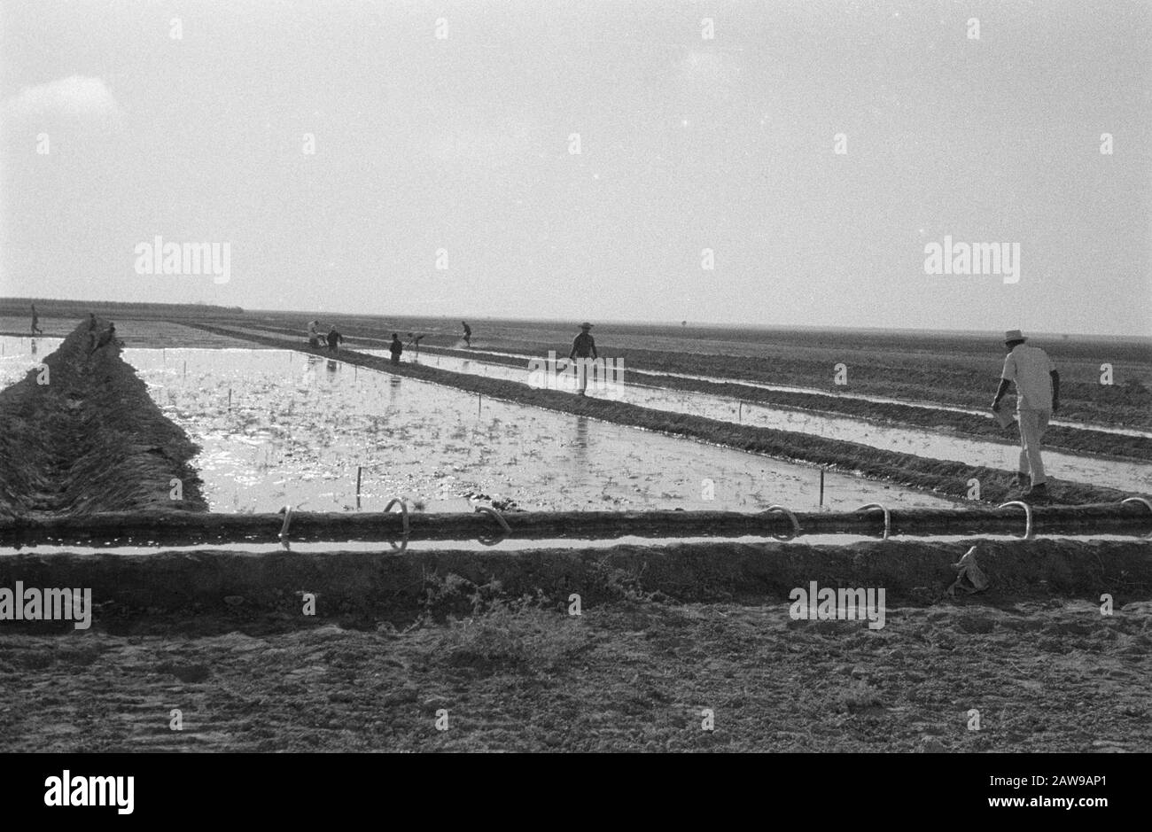 Land based labor hi-res stock photography and images - Alamy