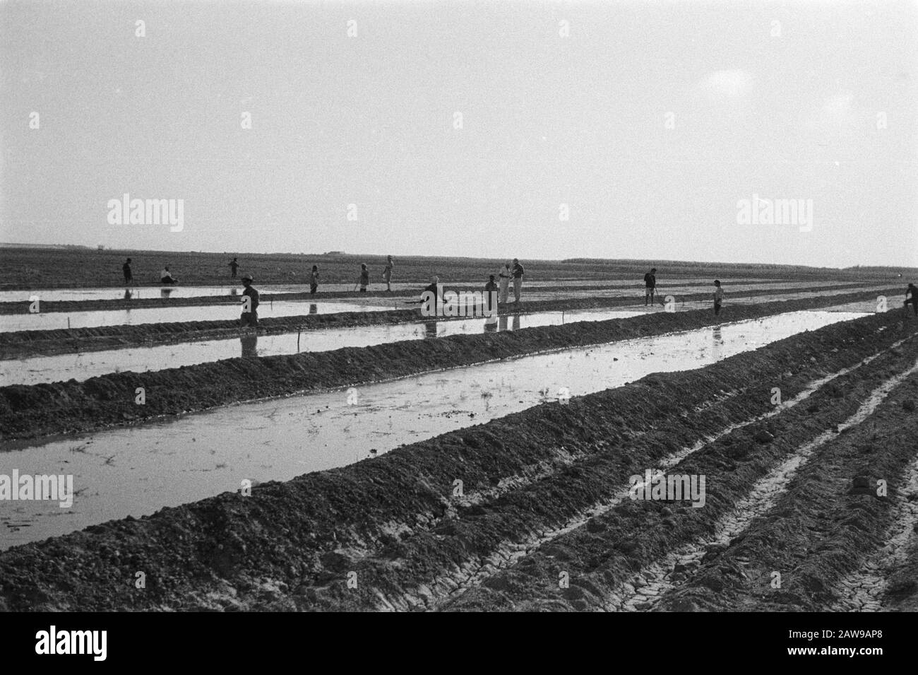 Human interaction with water Black and White Stock Photos & Images - Alamy