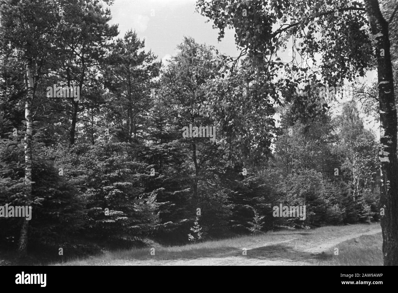 800 hectares of land hi-res stock photography and images - Alamy