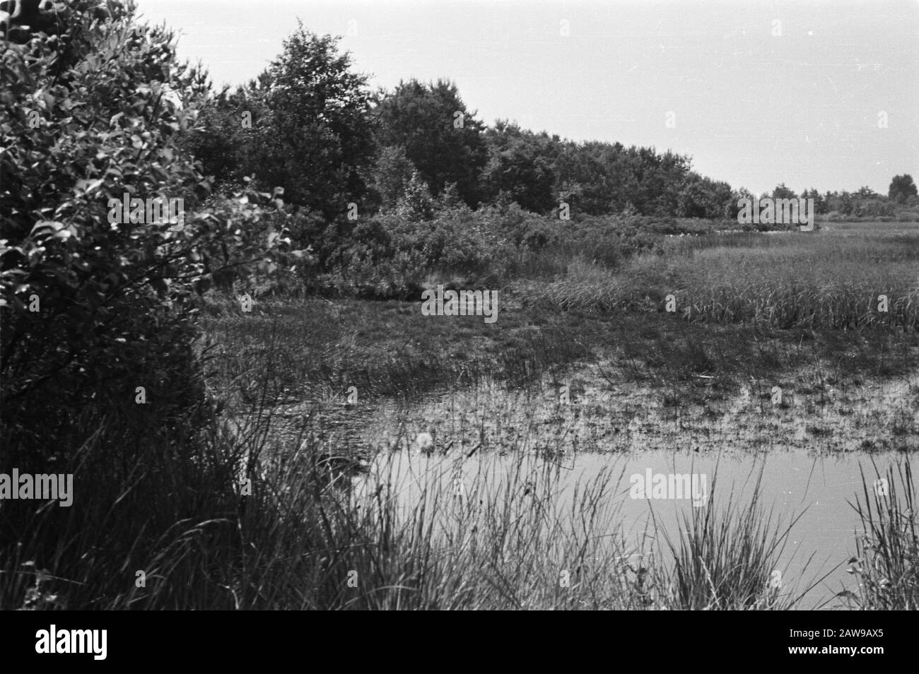 800 hectares of land hi-res stock photography and images - Alamy