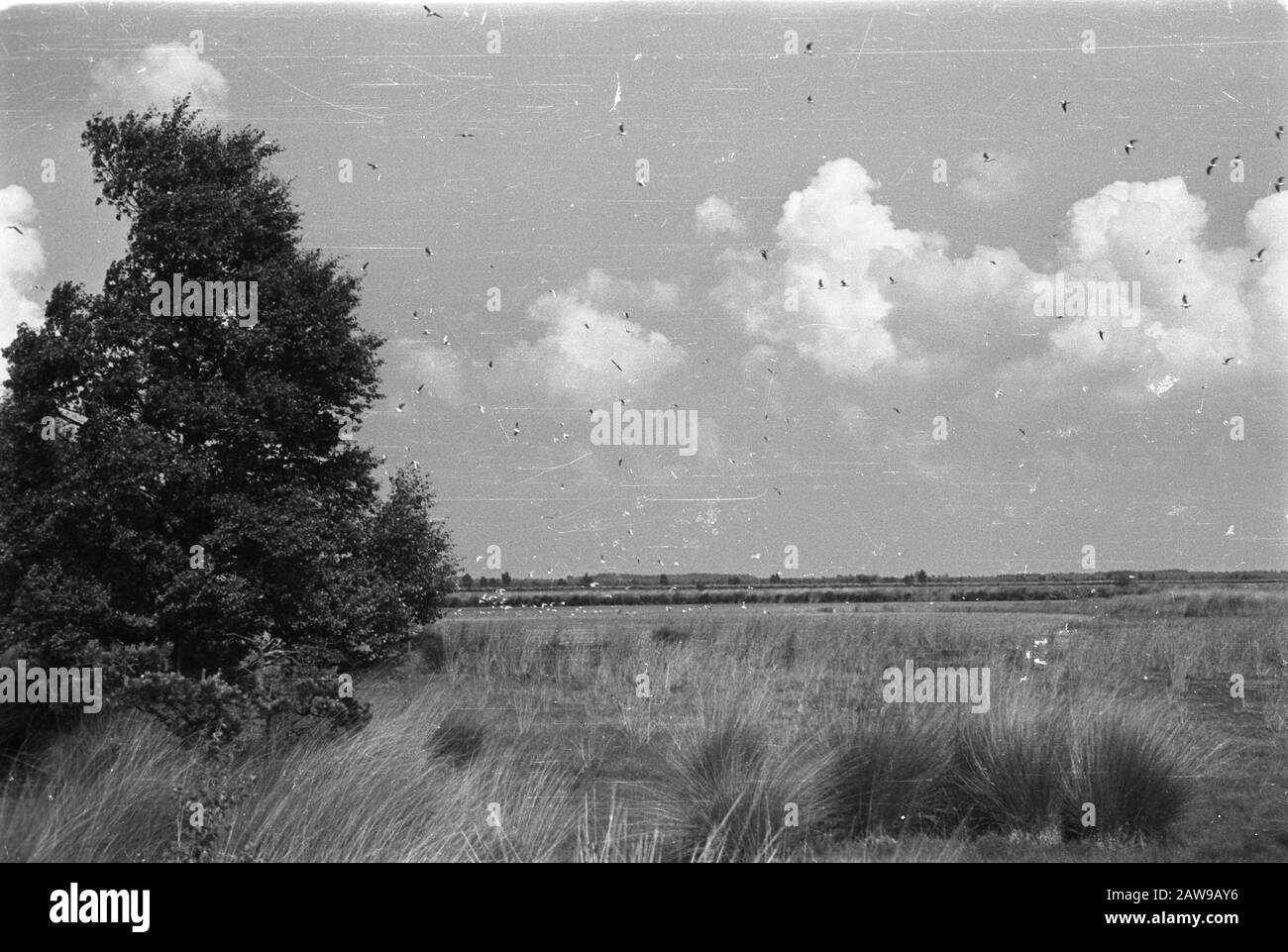 800 hectares of land hi-res stock photography and images - Alamy