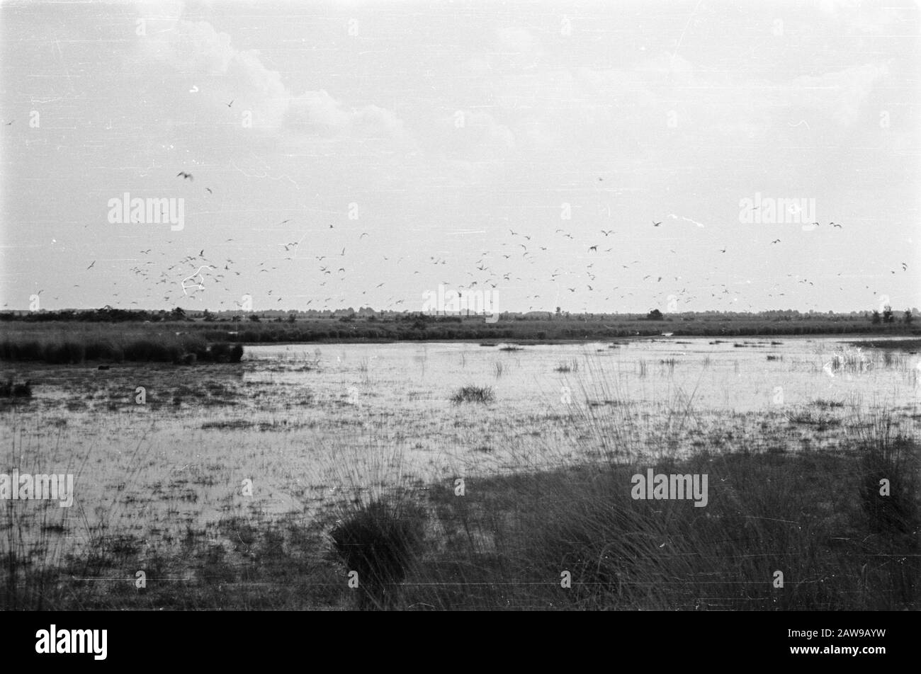 800 hectares of land hi-res stock photography and images - Alamy