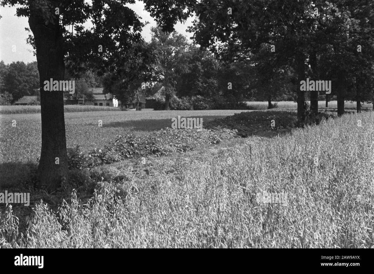 800 hectares of land Black and White Stock Photos & Images - Alamy