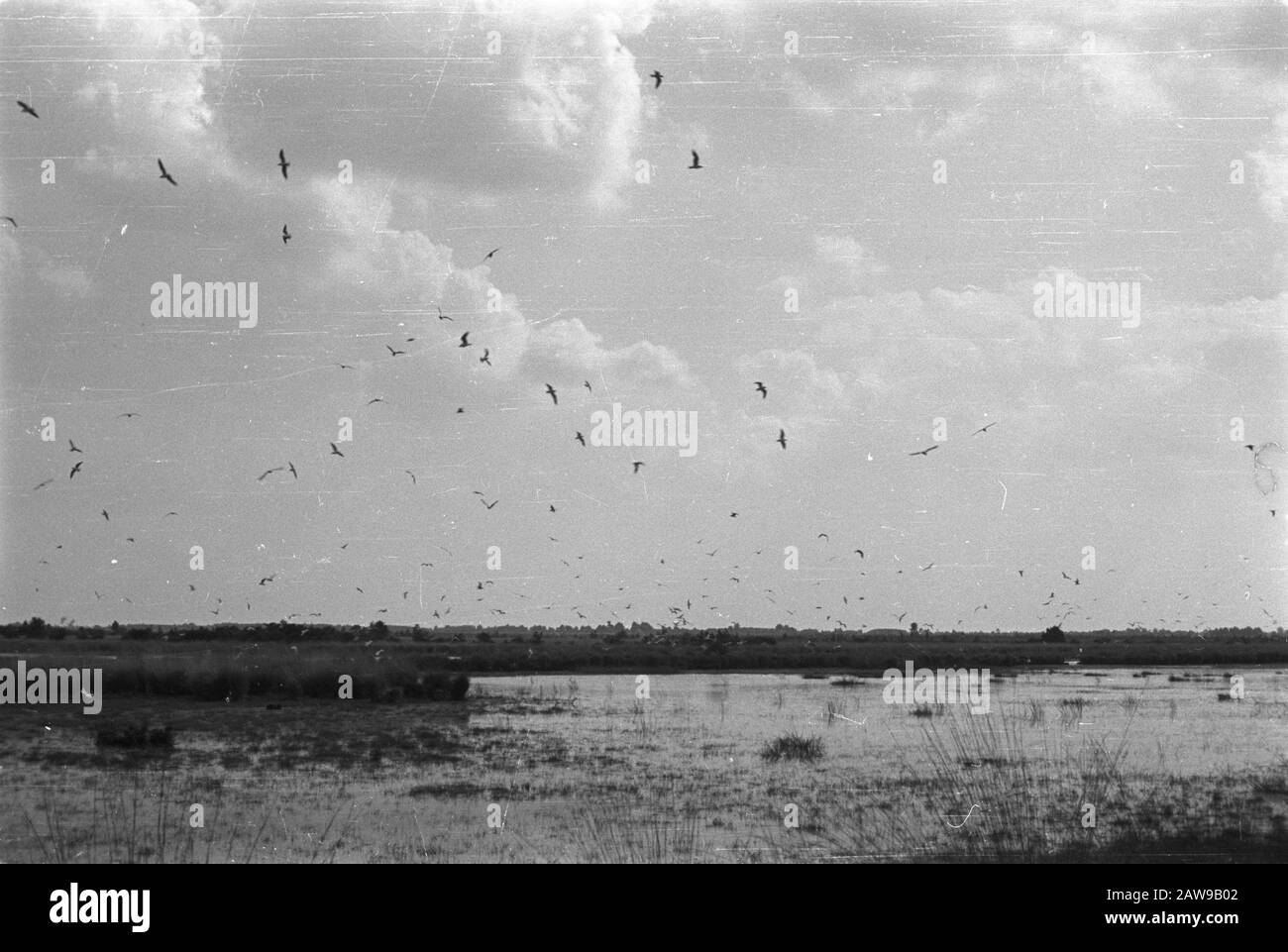 800 hectares of land hi-res stock photography and images - Alamy